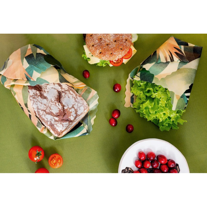 Ecological company food packaging with the logo, ECO company gadget
